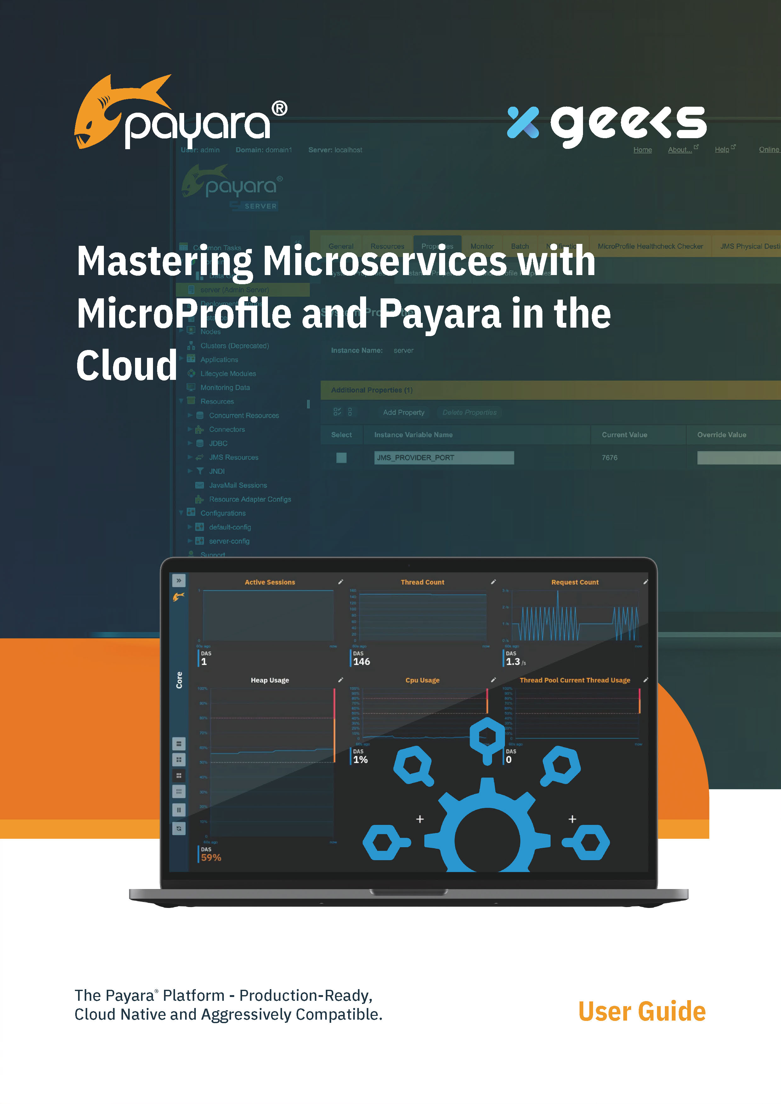 Mastering Microservices with MicroProfile and Payara in the Cloud